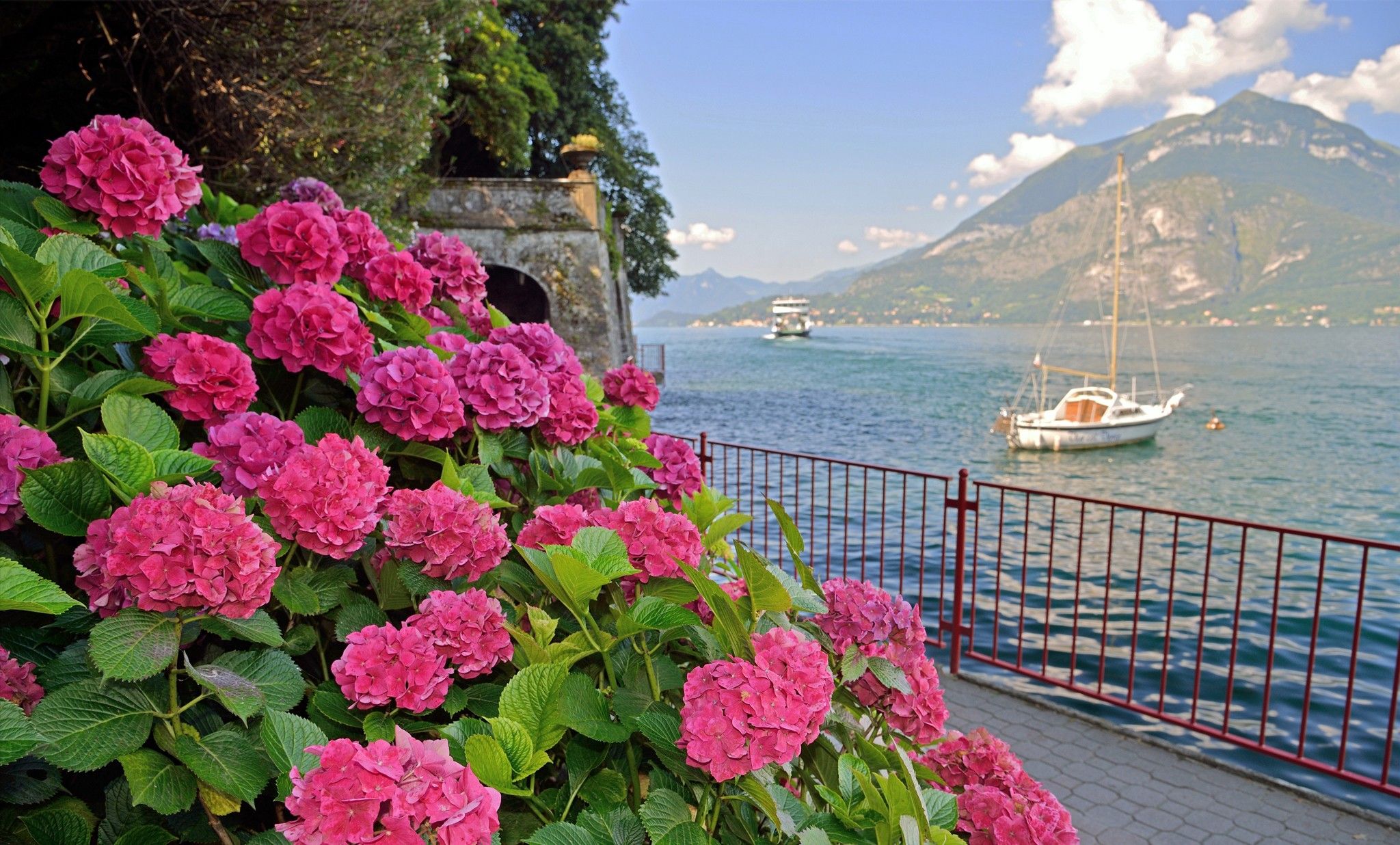 What are the most popular flowers in Italy - Times Lifestyle