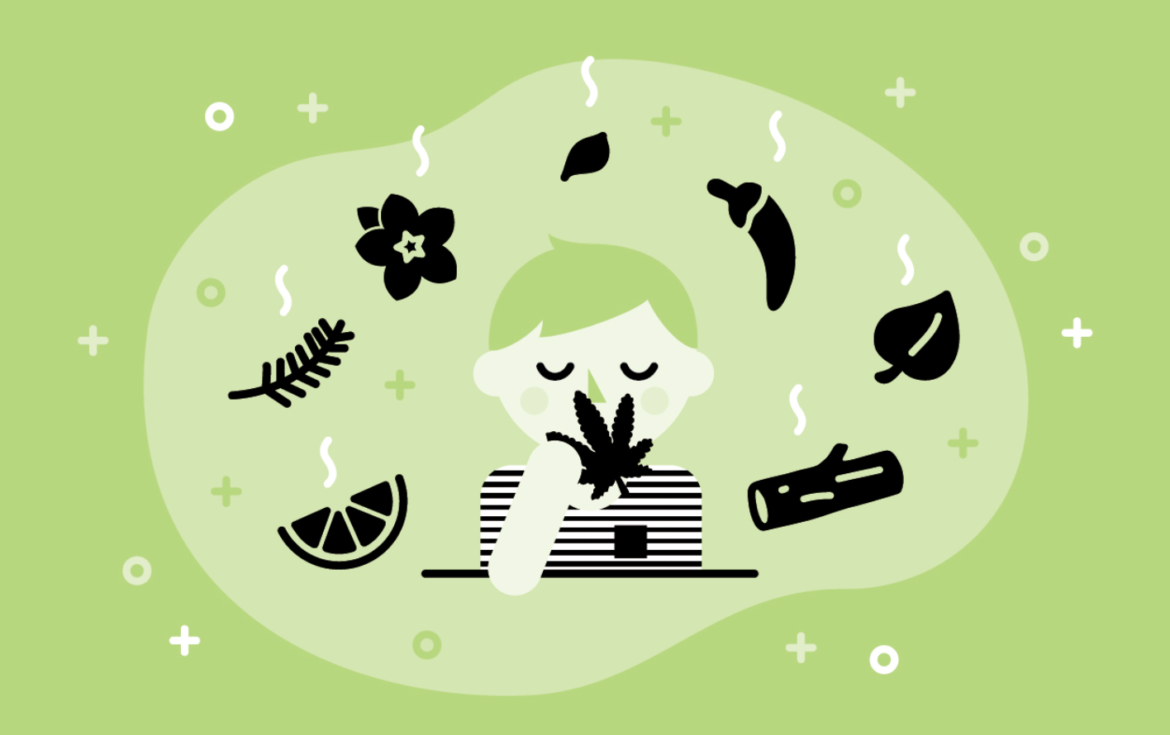 Terpenes 101: What are Terpenes and Why are They Beneficial? - Times ...