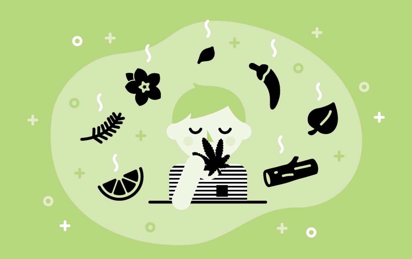 Terpenes 101: What are Terpenes and Why are They Beneficial? - Times ...