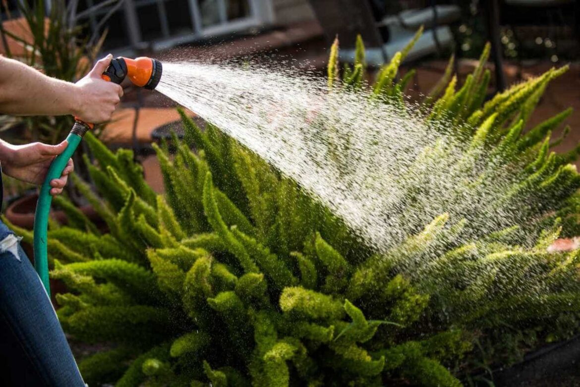 5 Tips For Choosing The Best Method for Garden Reticulation - Times ...