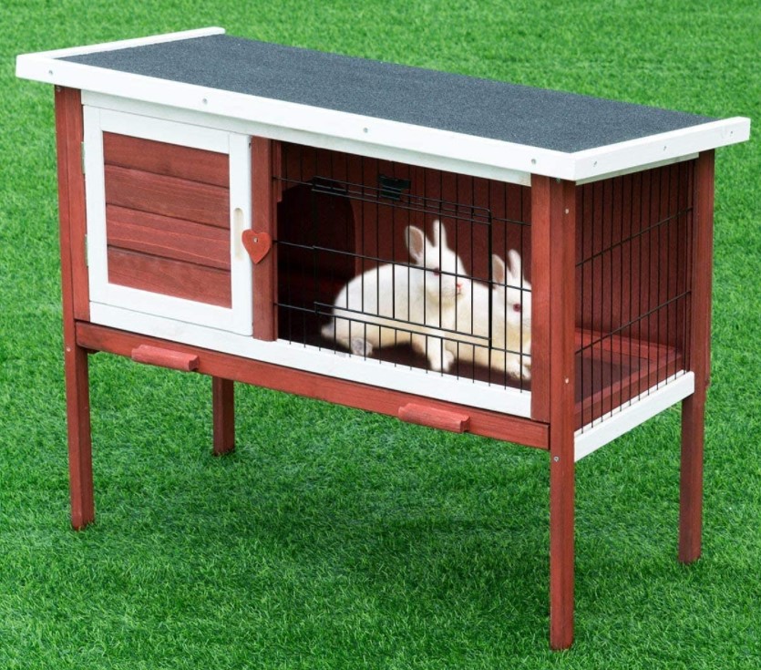 Are Hutches Good For Rabbits? - Times Lifestyle