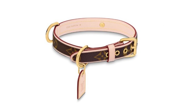 Best Materials for Puppy Collars ─ 5 Things to Know When Buying - Times ...