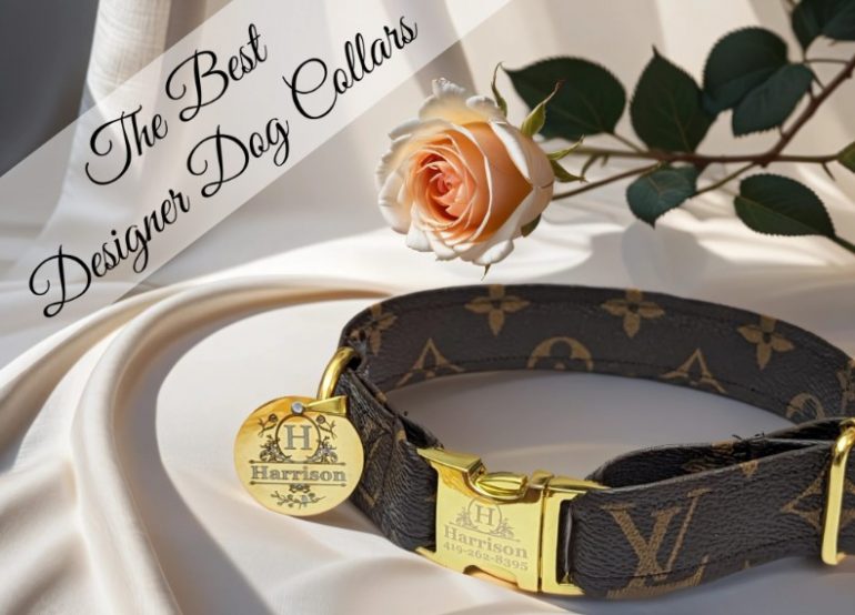 Best Materials for Puppy Collars ─ 5 Things to Know When Buying - Times ...